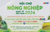 Giới thiệu phim: Mối tình kỳ lạ – THTPCT