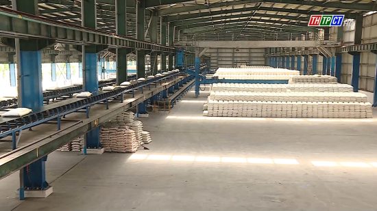 Giá nhiều loại urê tiếp tục tăng – THTPCT