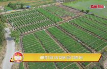 Tạp chí Tiếng nói Mặt trận – Hành trình gắn kết | 03/6/2026 – THTPCT