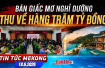 Hưng Yên đẩy mạnh cơ giới hóa trong thu hoạch lúa | Tam nông 4.0 | 18/6 ...